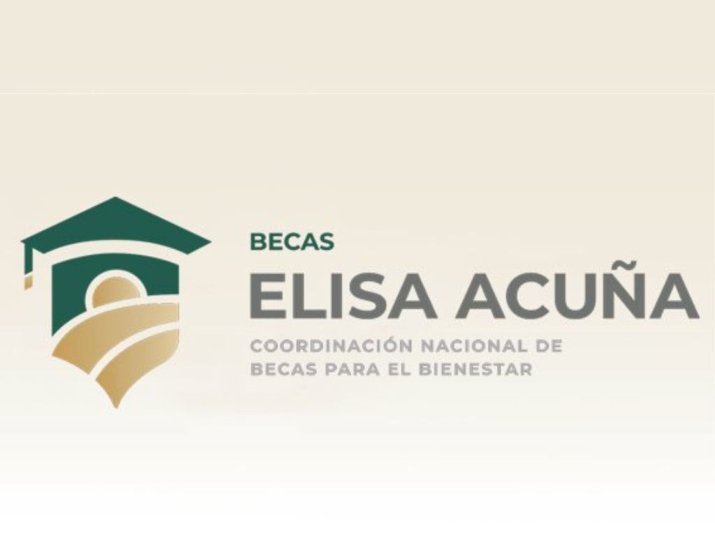 Becas para Primaria 2025: Convocatorias Vigentes y registro